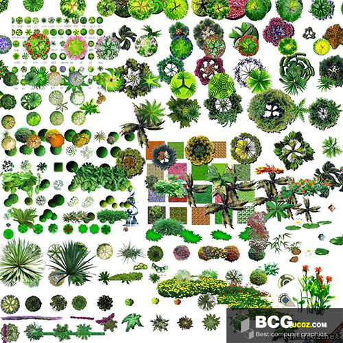 Plan tree photoshop free for architecture projects - Tree plan ...