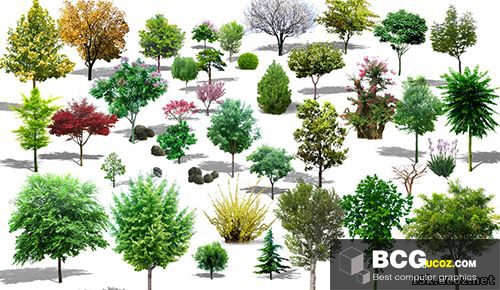 Plan tree photoshop free for architecture projects - Tree plan ...